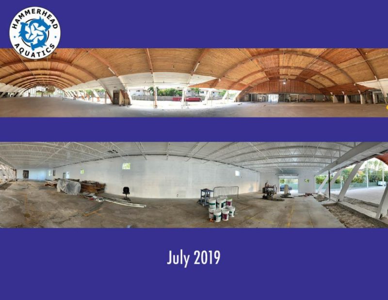 HOME - HAMMERHEAD AQUATICS